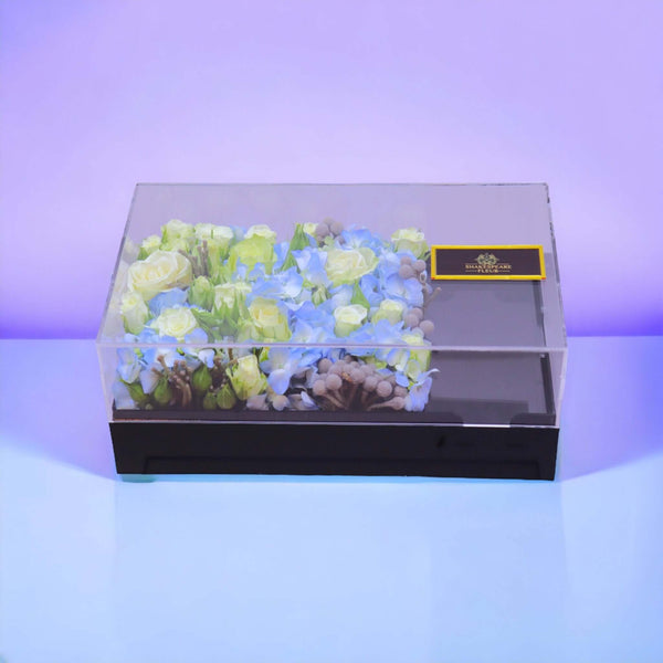 money box blue and white